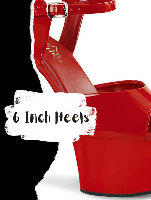 Pleasers l 6 Inch Heel l Fetish Footwear – Pole Dancing Shoes - KLS Supplies Ltd